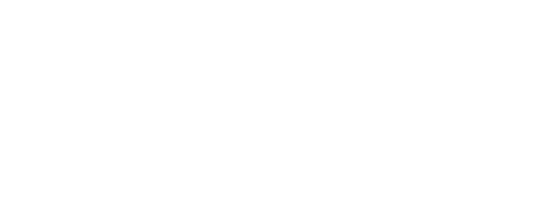 LeBron James smALL-STAR with game-used court